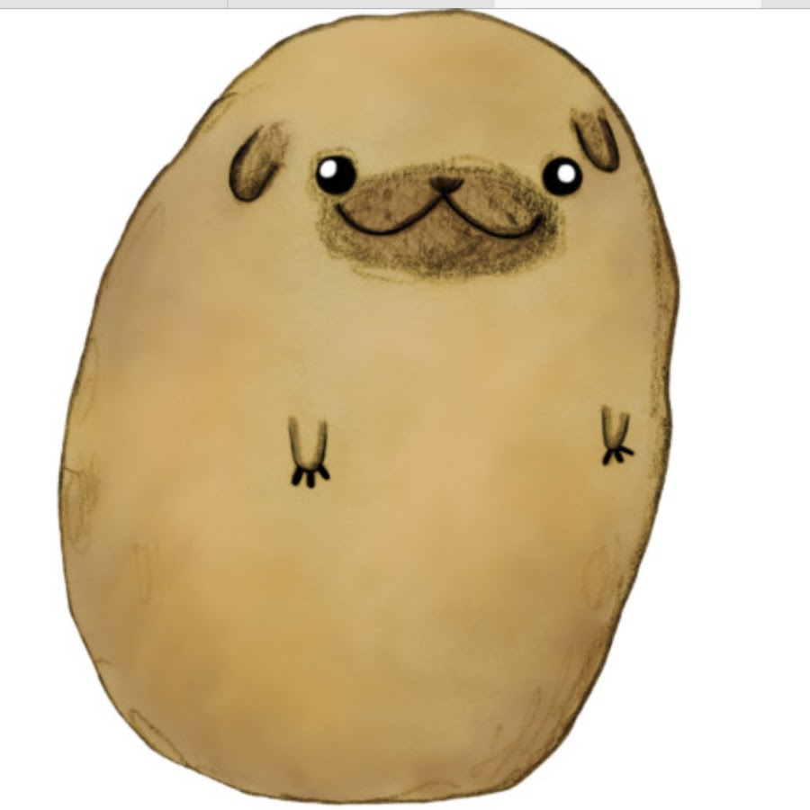 Potato Pug - YouTube