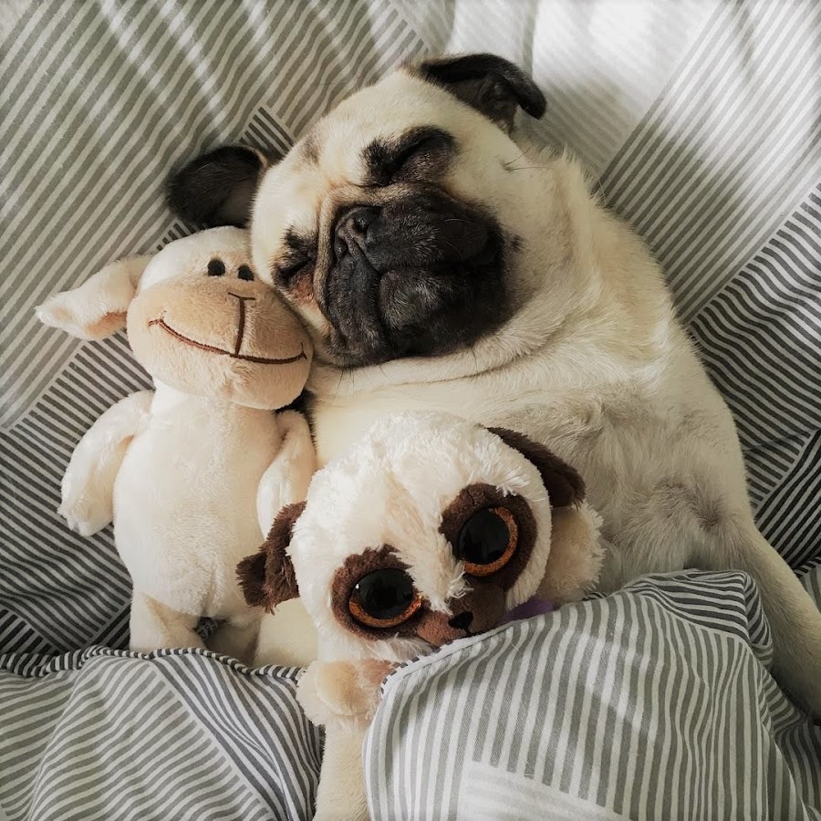 DeadAngelCat 666X - YouTube