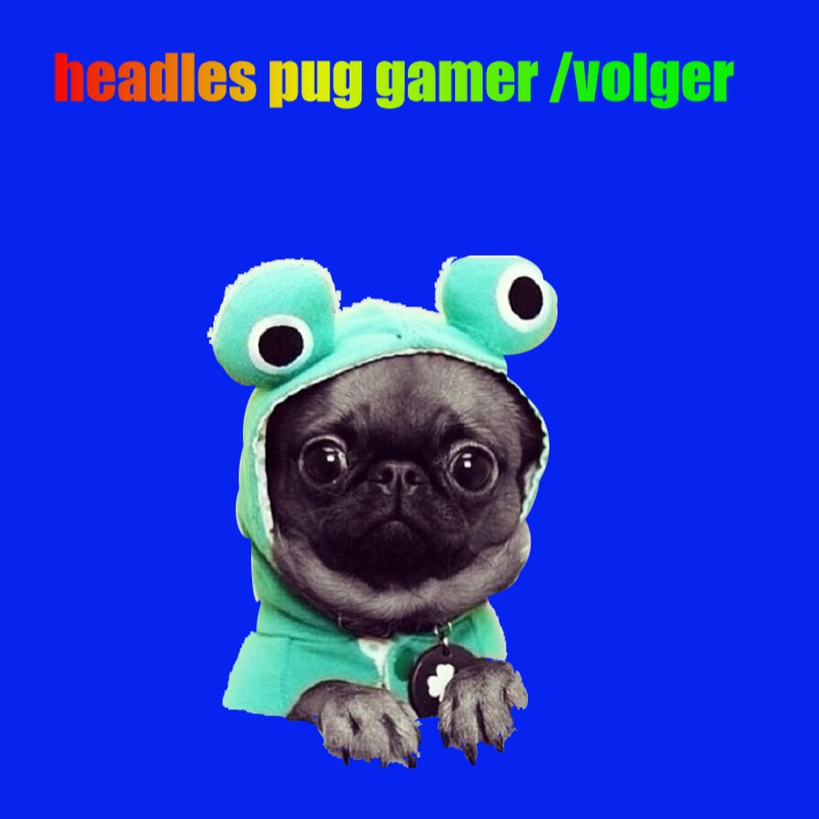 pug gamer - YouTube