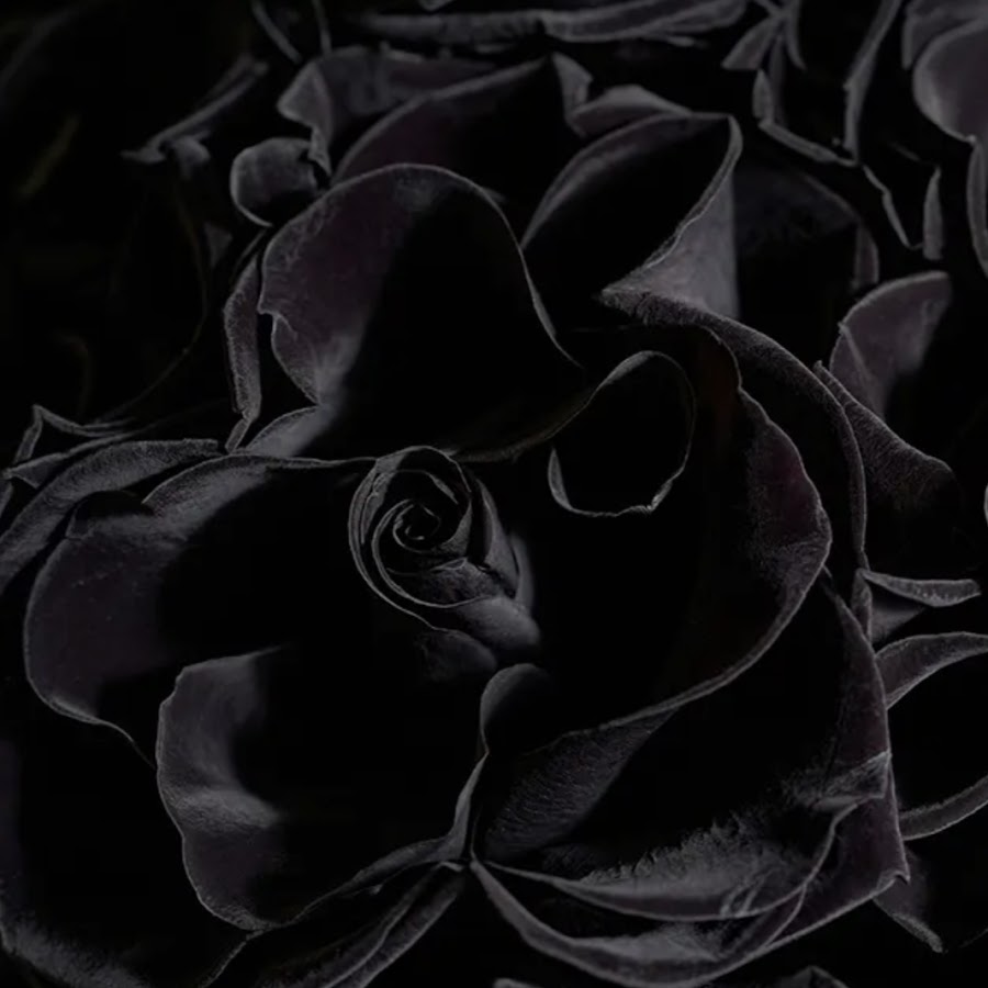 Frobe Bryant - YouTube