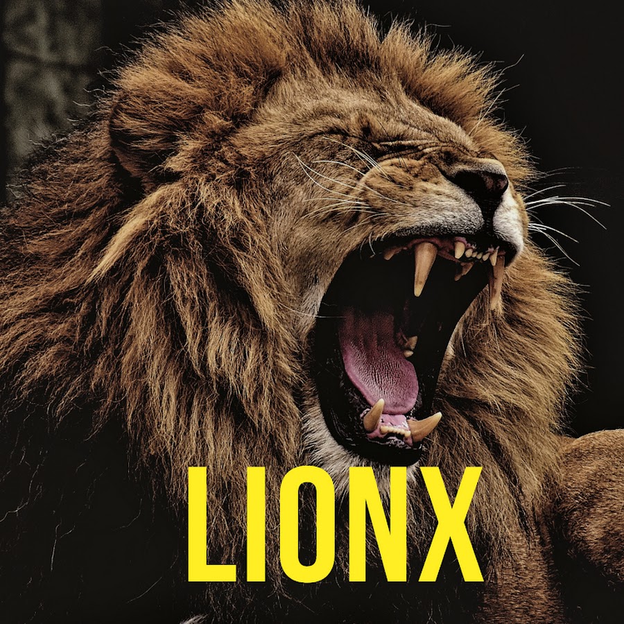 LionX International - YouTube
