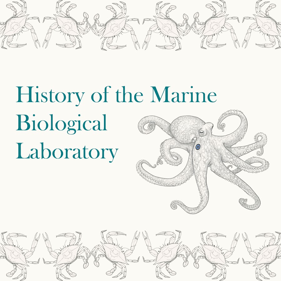 History of the Marine Biological Laboratory - YouTube