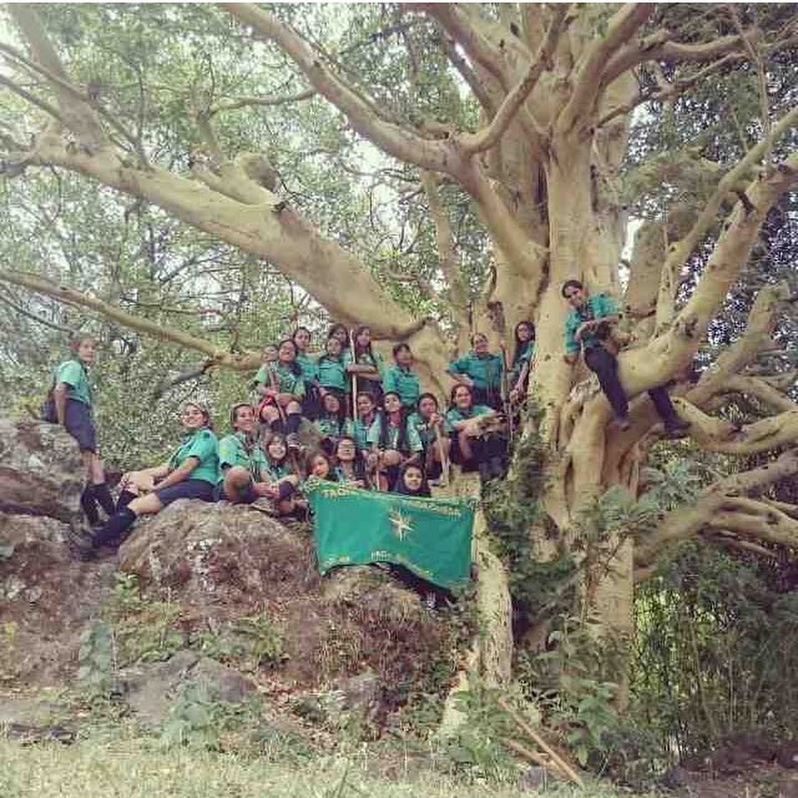 Alexa Scout - YouTube