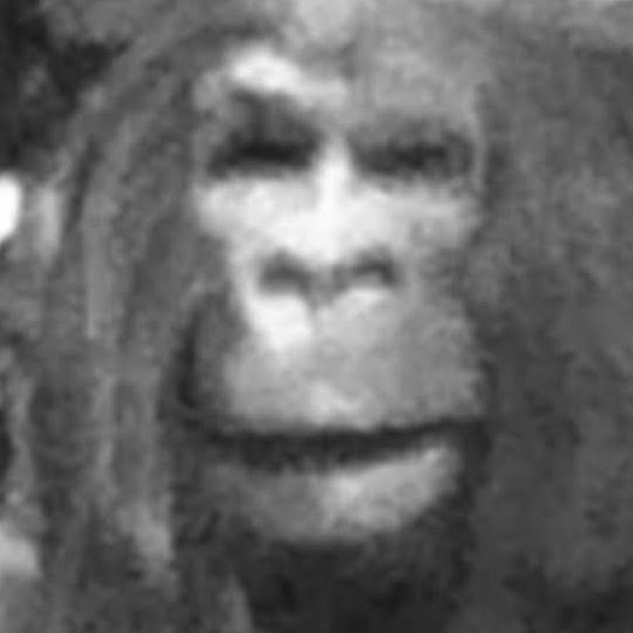 Richard Sutherland - YouTube