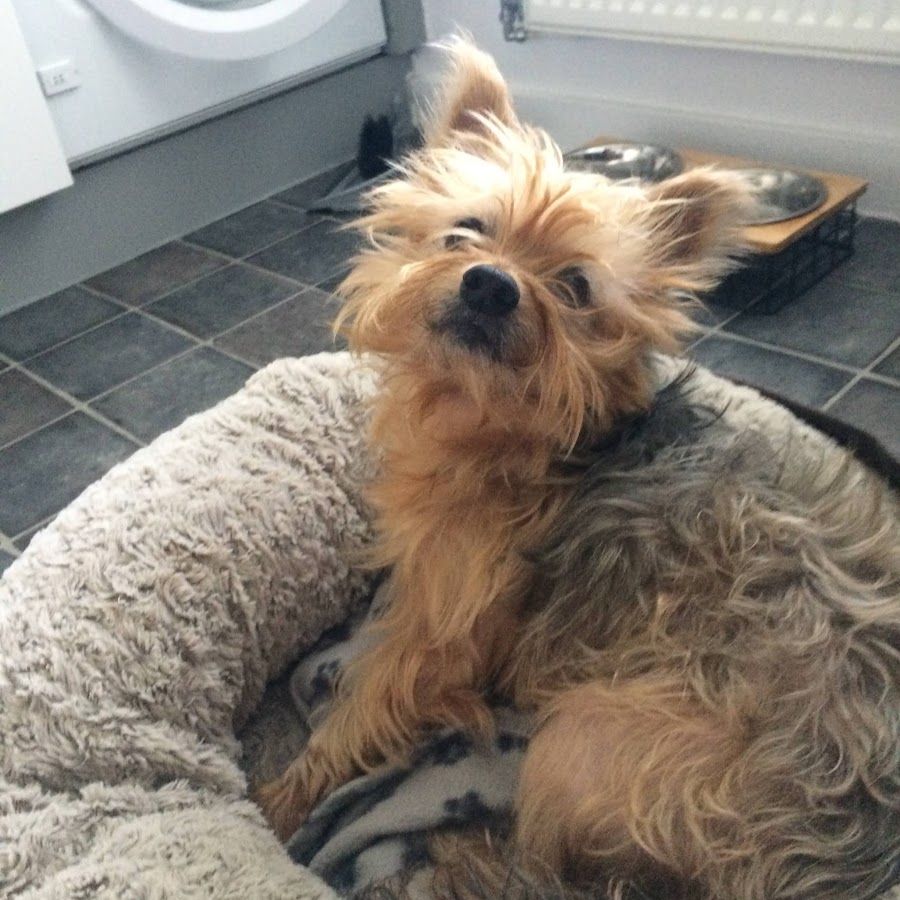 Little Miss Pony - YouTube