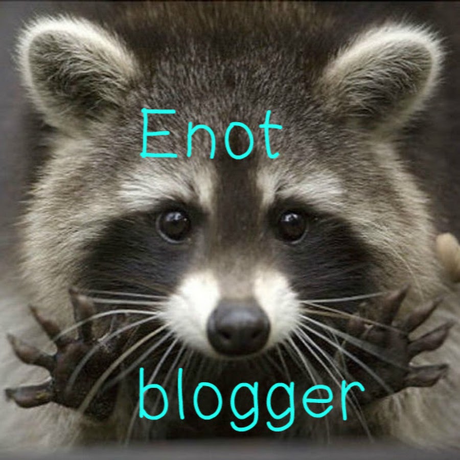 Enot blogger - YouTube