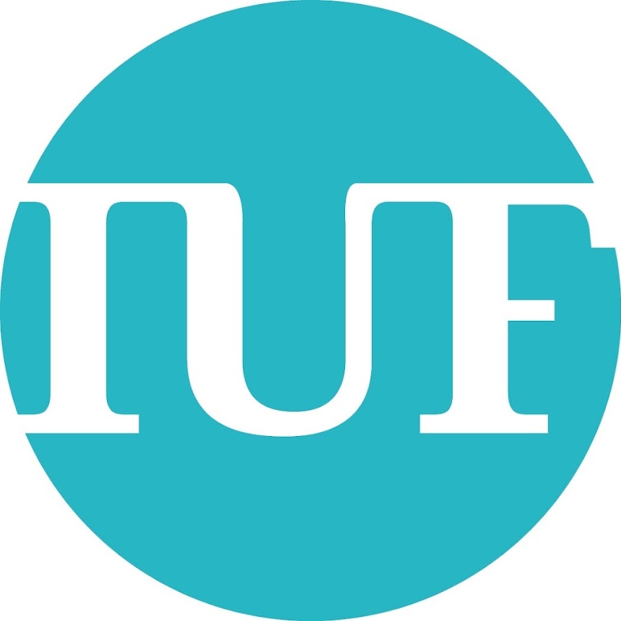 IUF - Institut Universitaire de France - YouTube