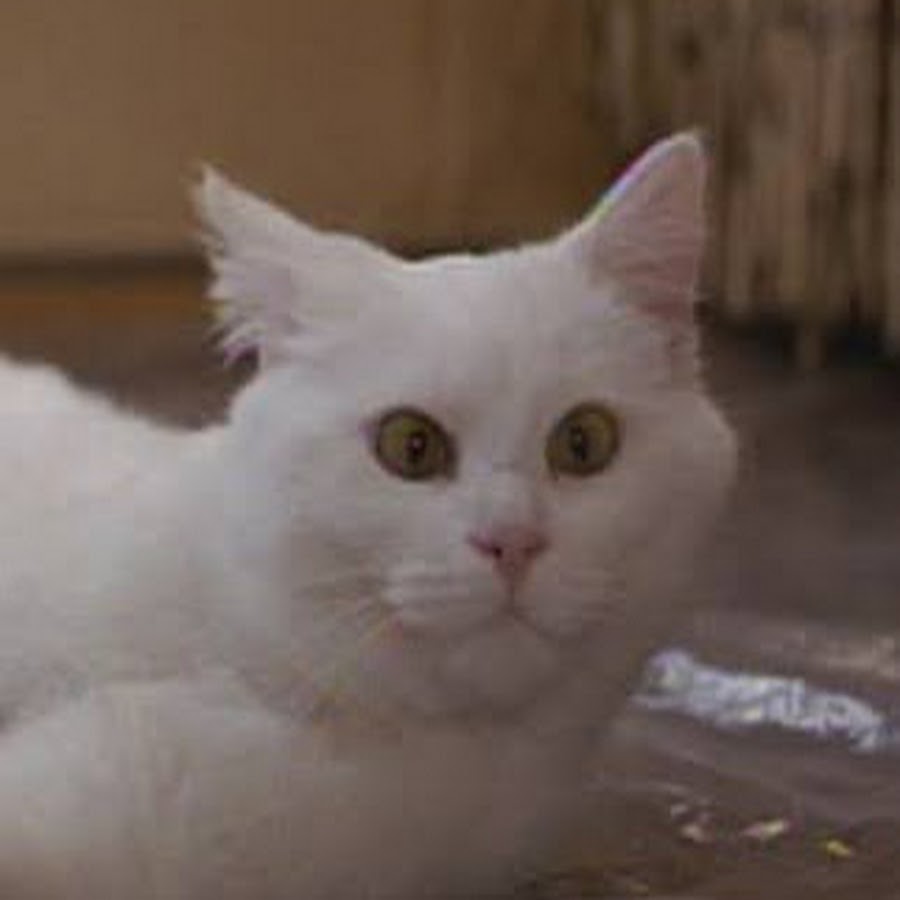 Jason Schmidt - YouTube