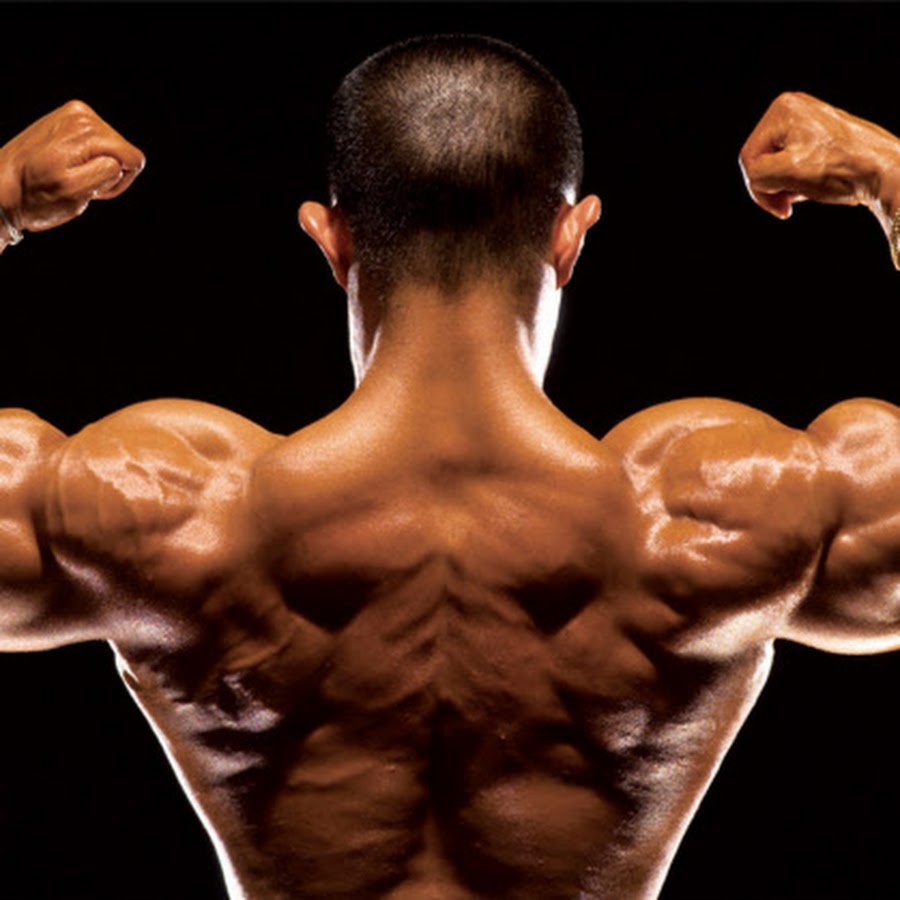 Muscle Madness - YouTube