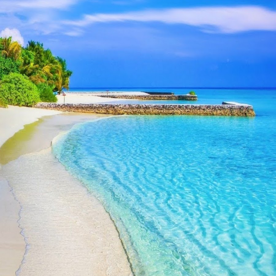 Neithal Tamil - YouTube