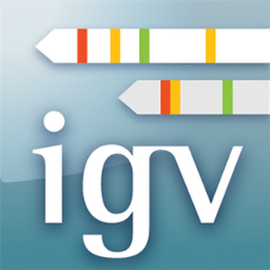 IGV - YouTube