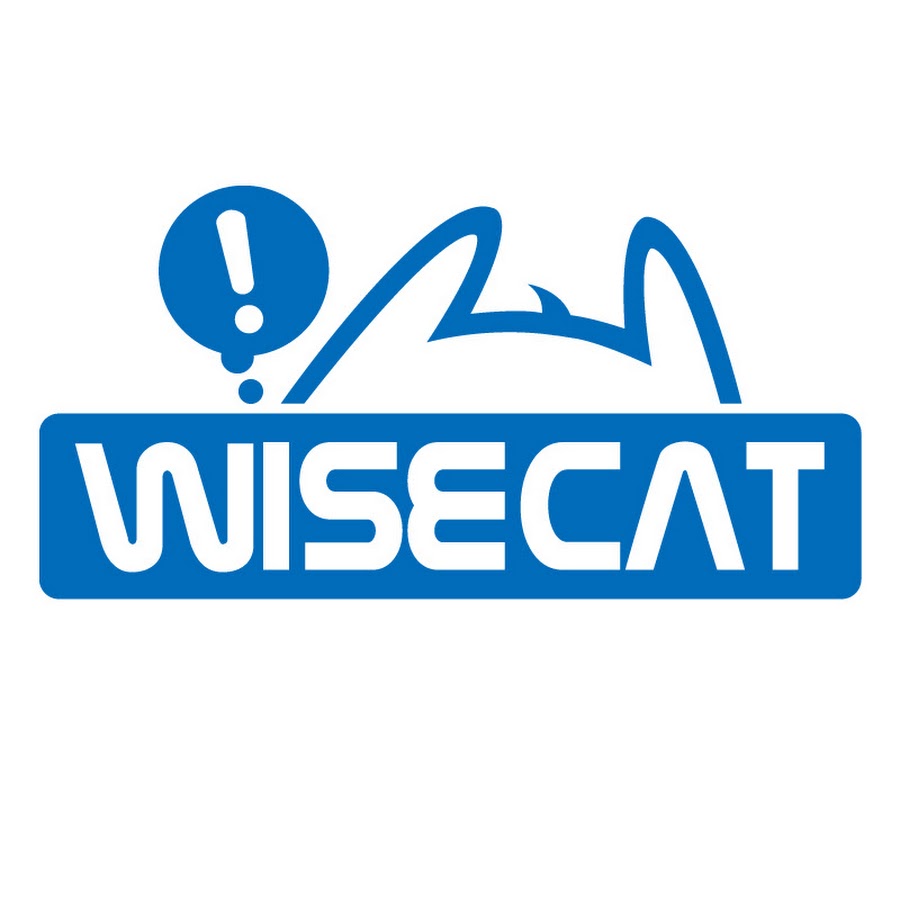 WISECAT - YouTube