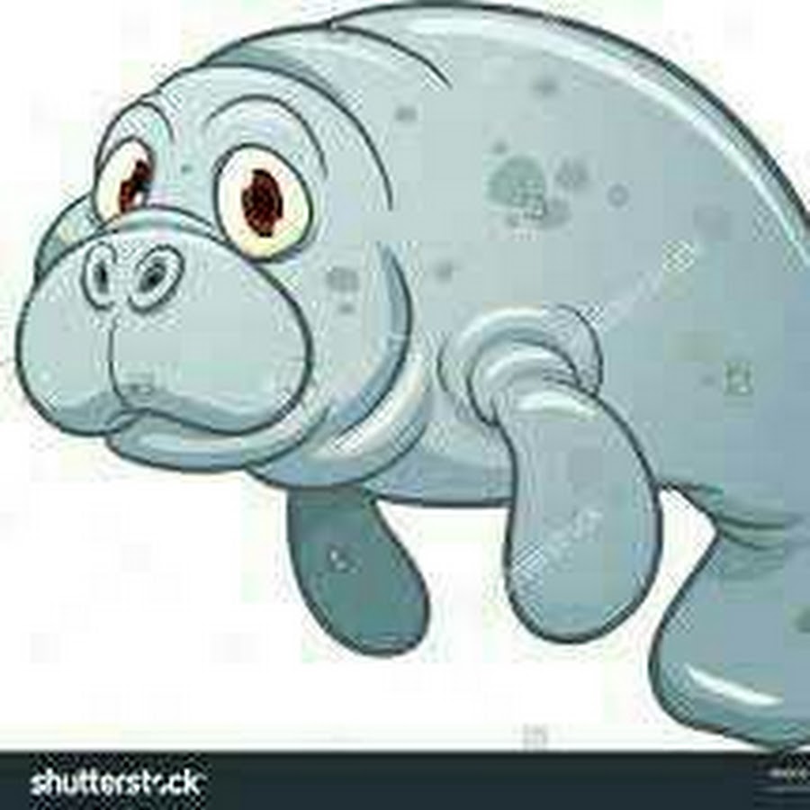 dugong craft - YouTube