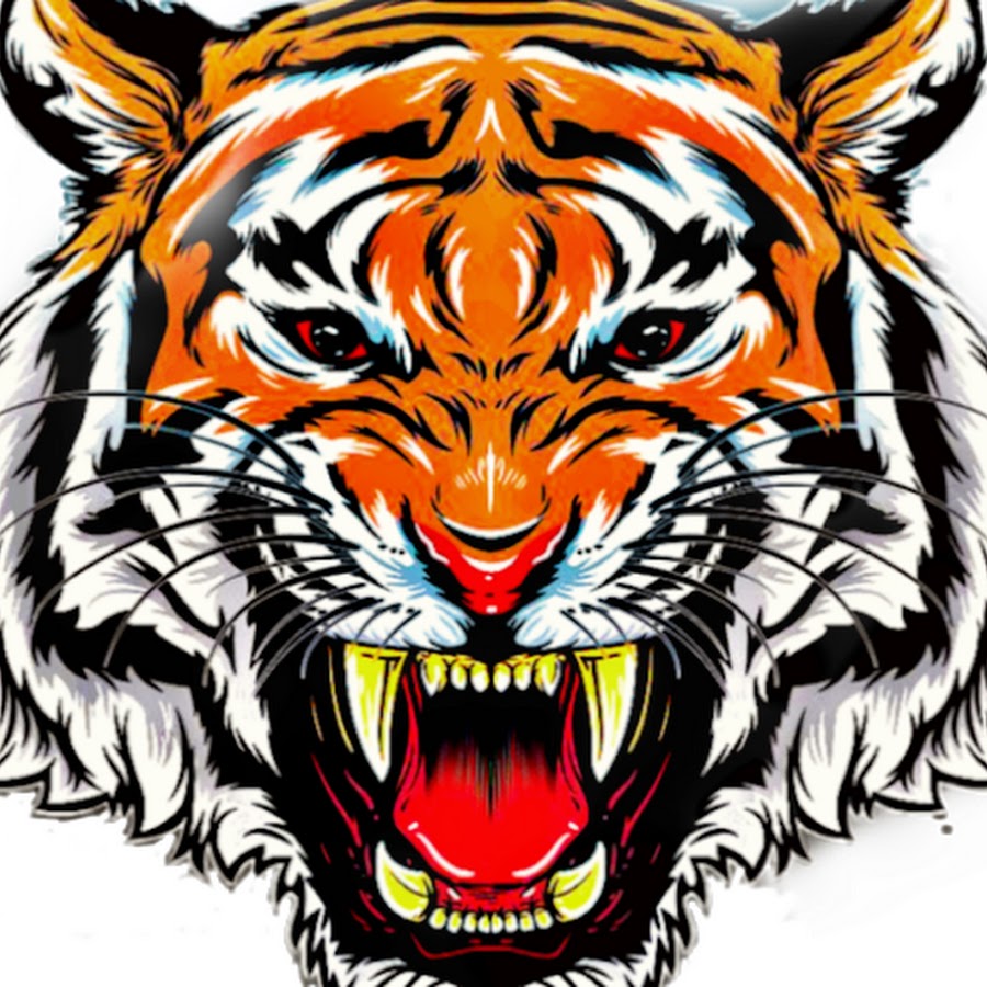 Tiger Squad Official - YouTube