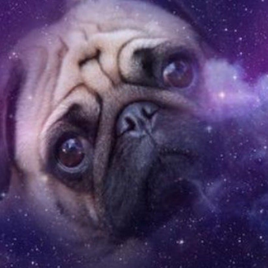 Galaxy Pug - YouTube