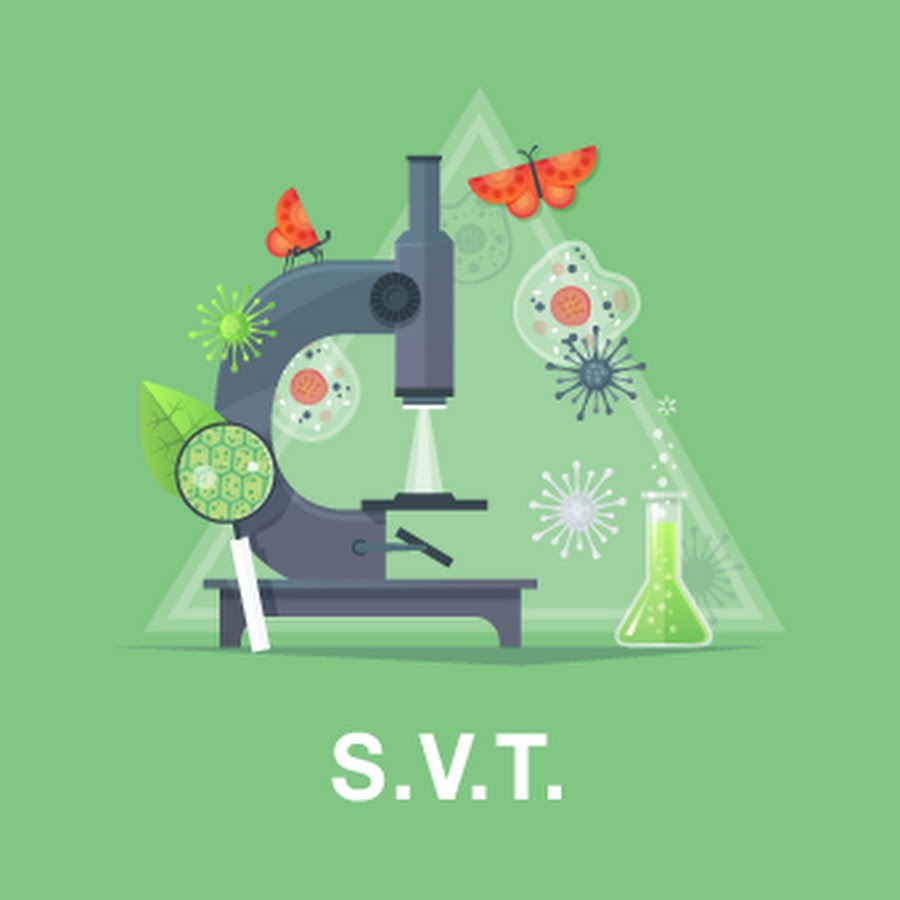 Prof SVT AV - YouTube