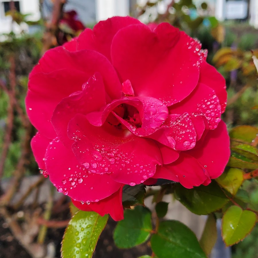 Mika Gaming - YouTube