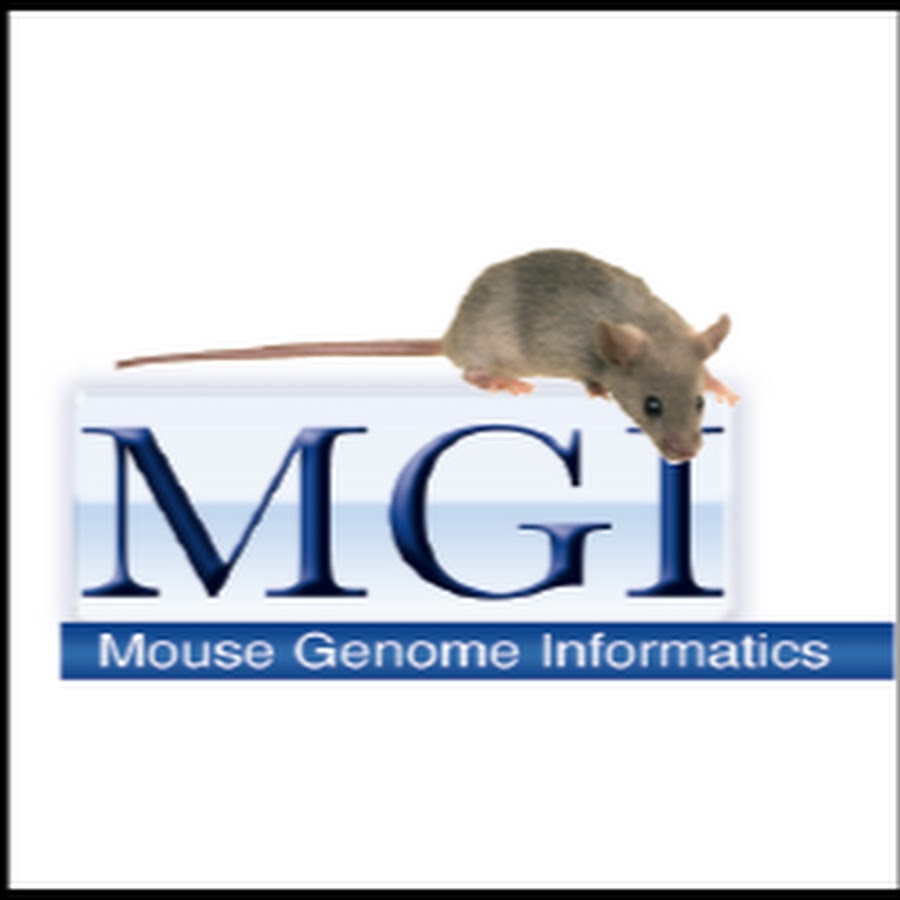 Mouse Genome Informatics - YouTube
