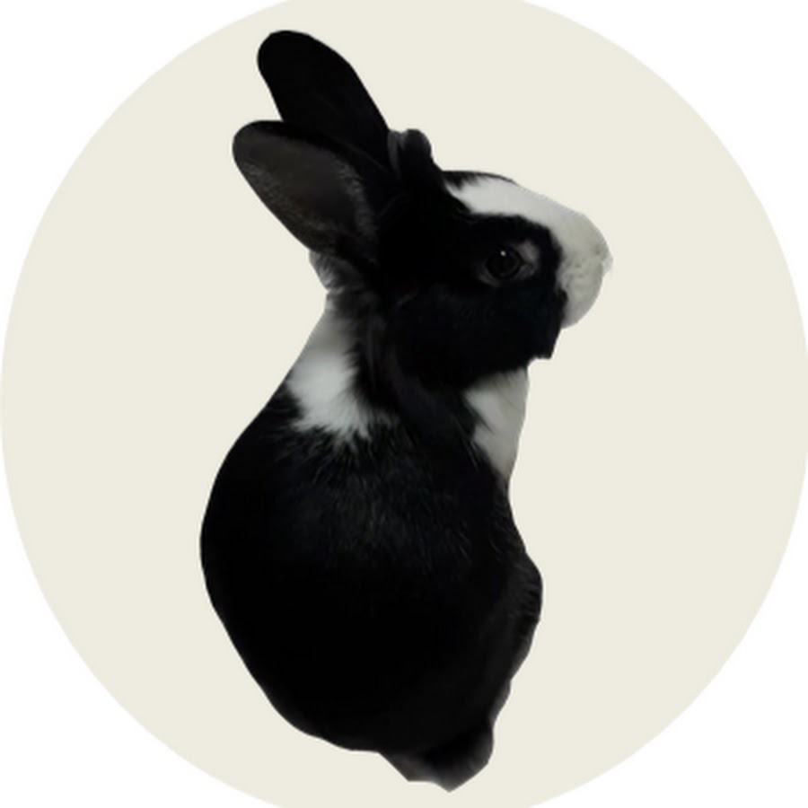 Korea Rabbit 윤포도떵코볼 - YouTube