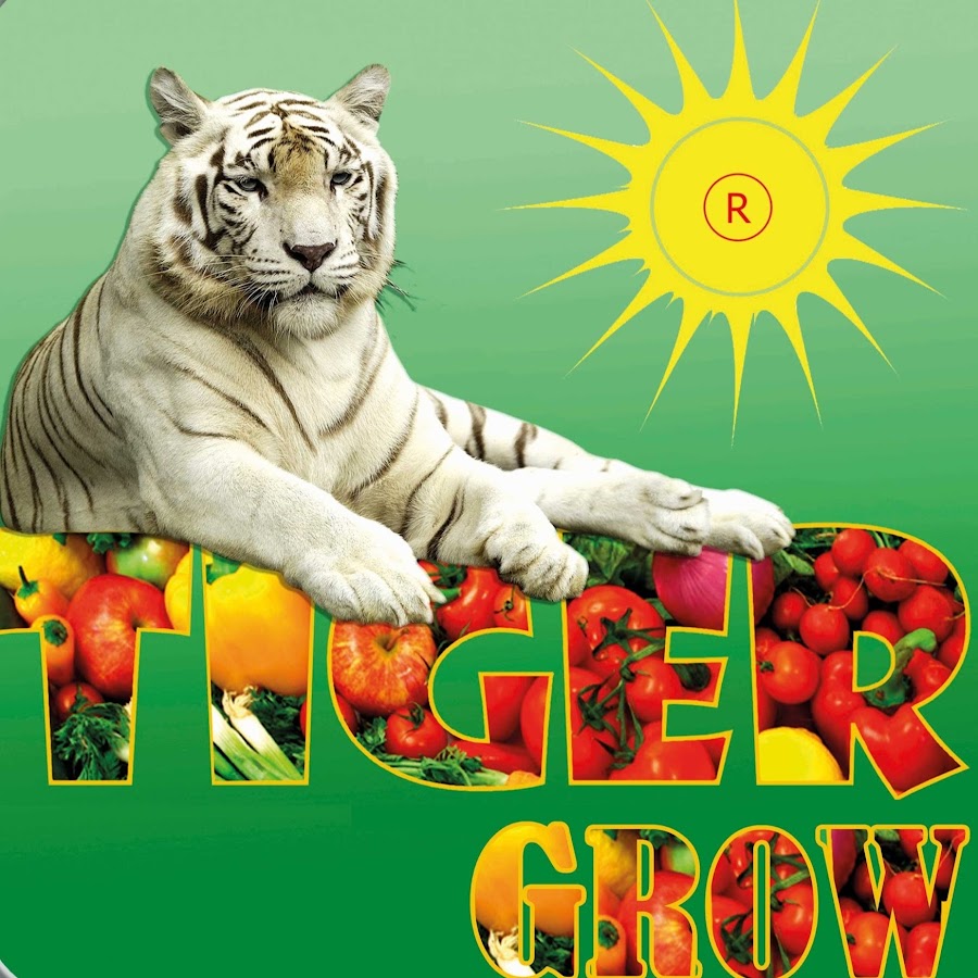 Tiger Grow - YouTube