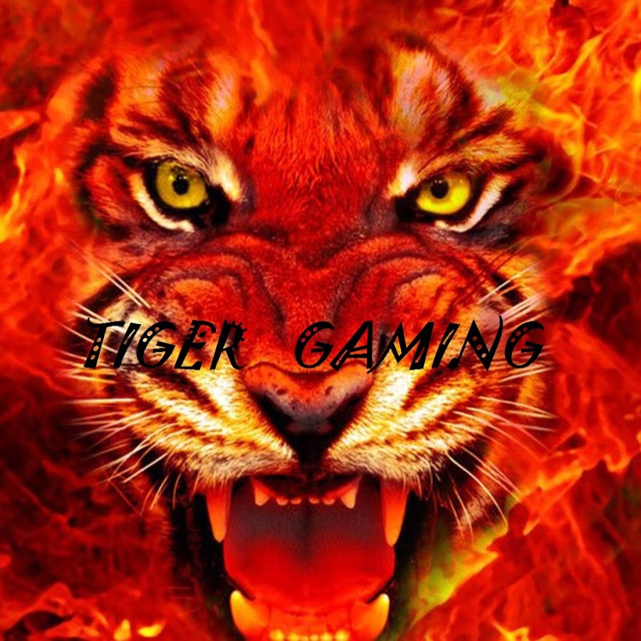 TIGER GAMING - YouTube