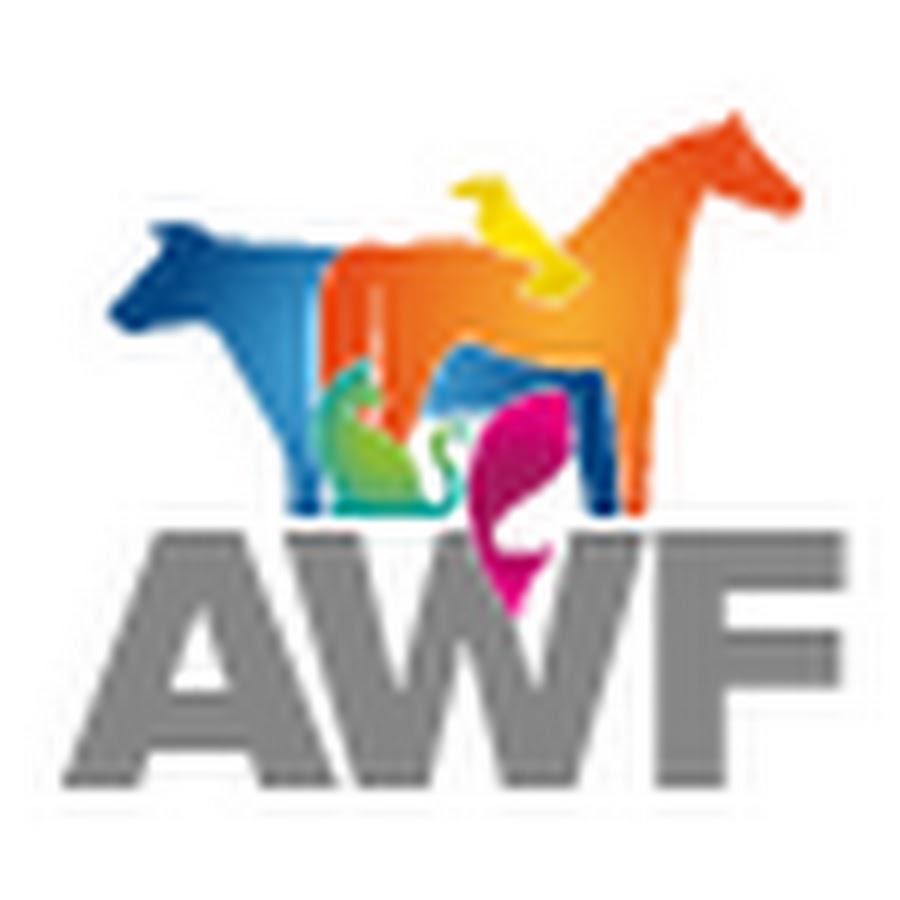 AWF - YouTube