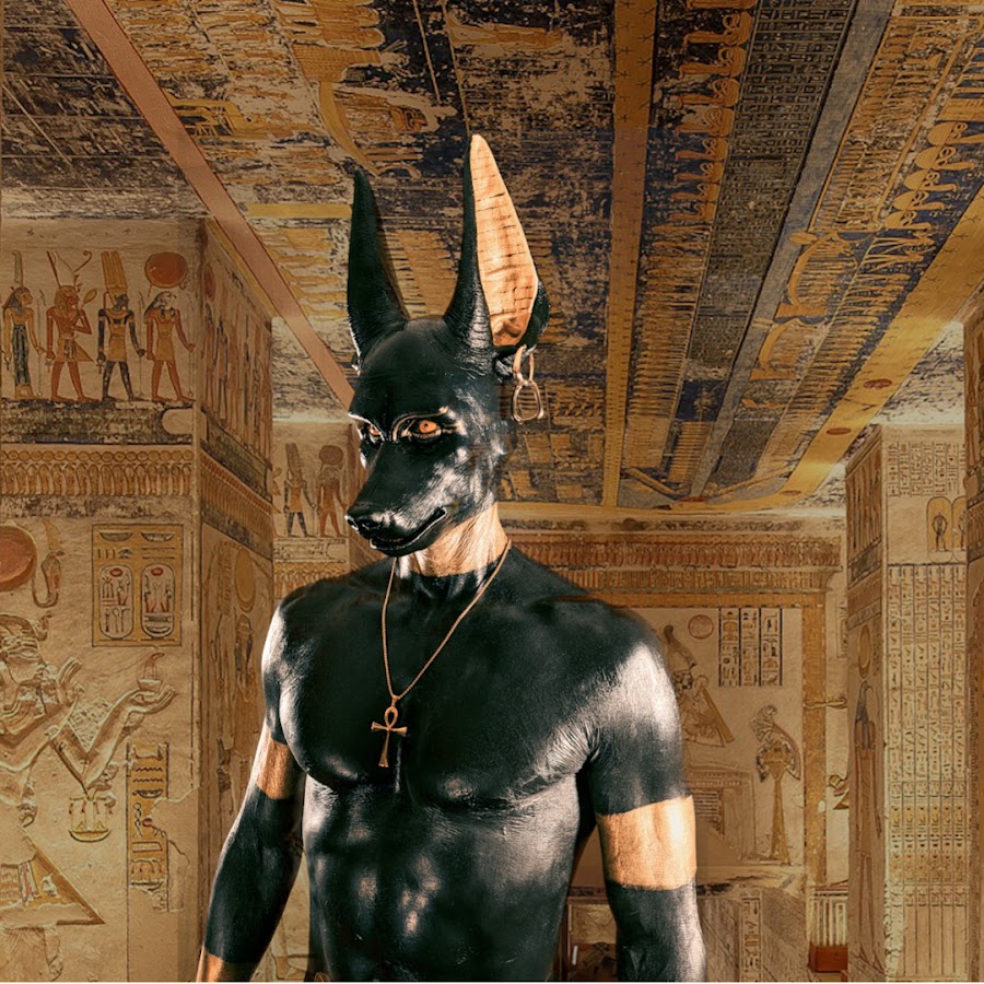 Humanimals - YouTube