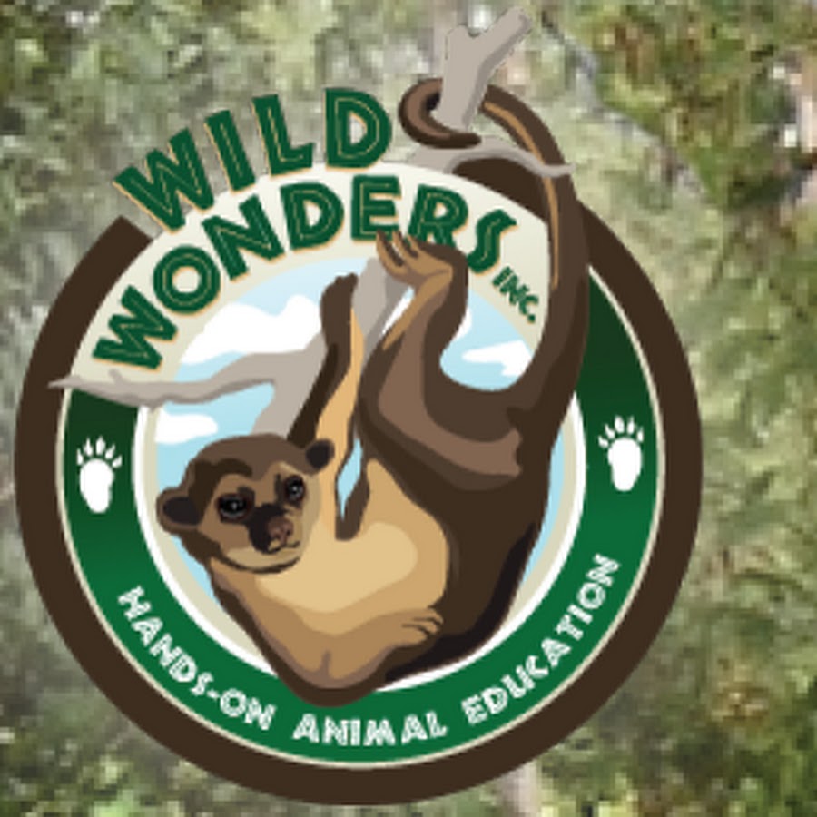 Wild Wonders - YouTube