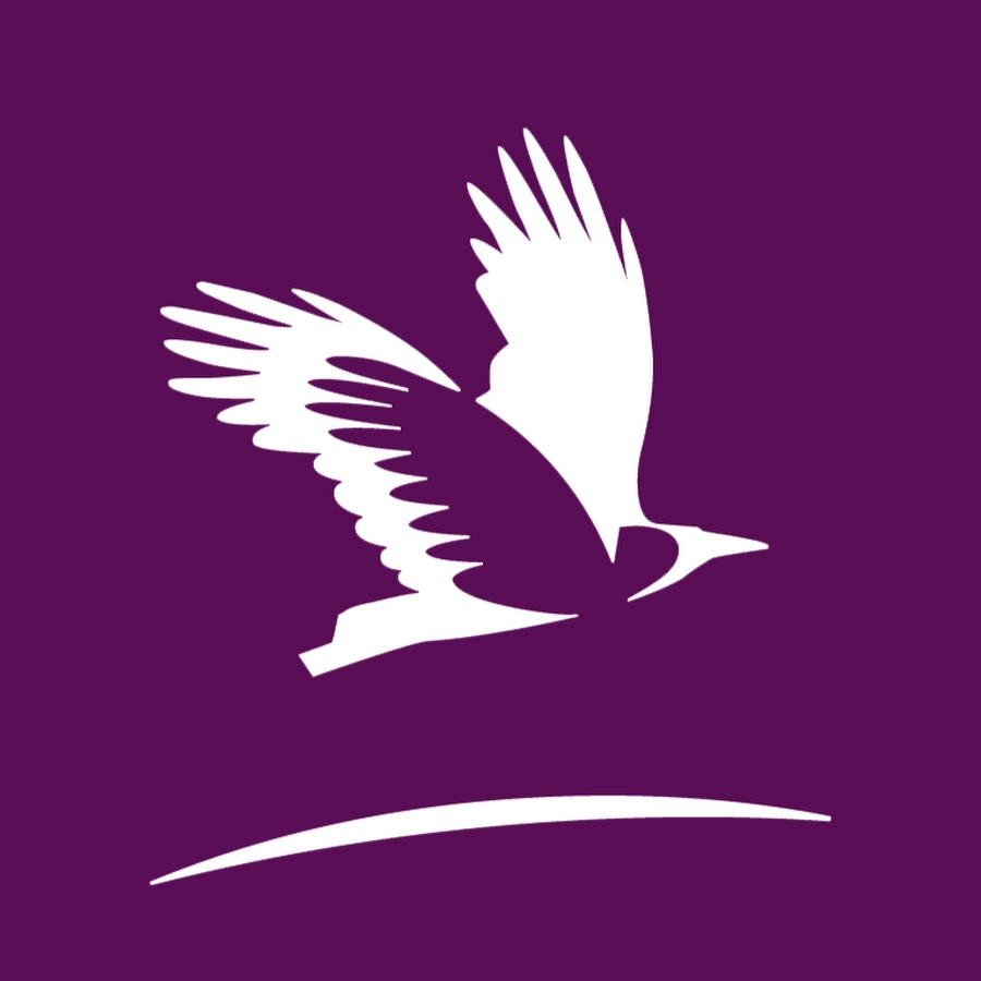 Fingal County Council - YouTube