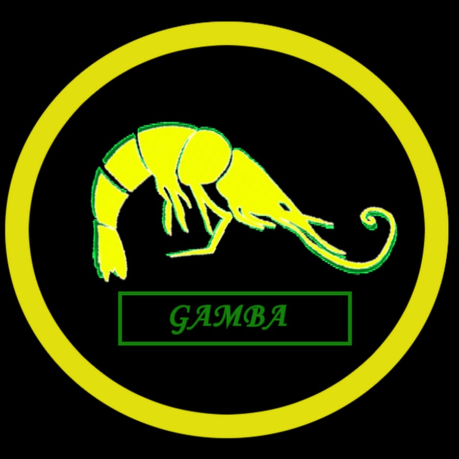 GAMBA - YouTube