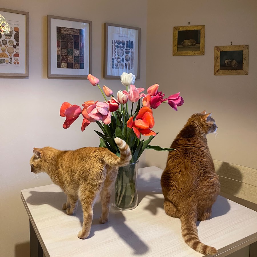 emma gotti - YouTube