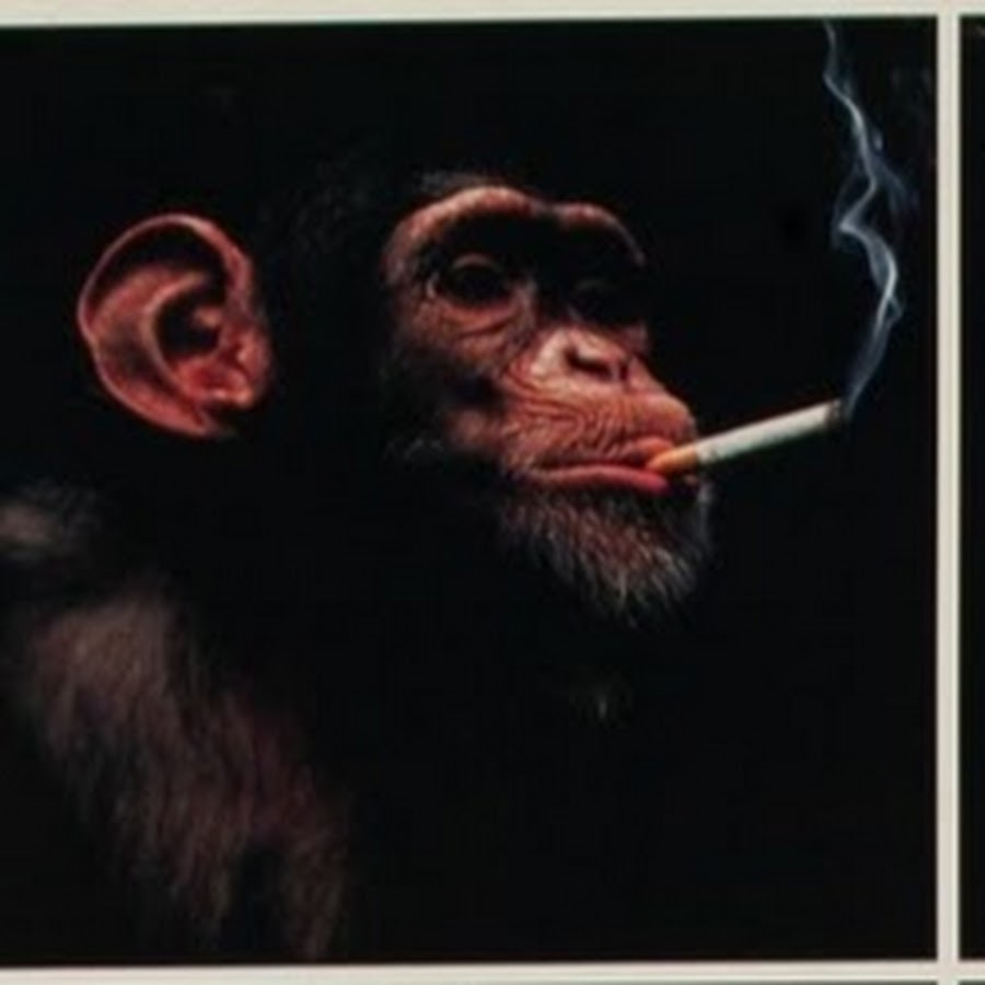 3B Media Arts - YouTube