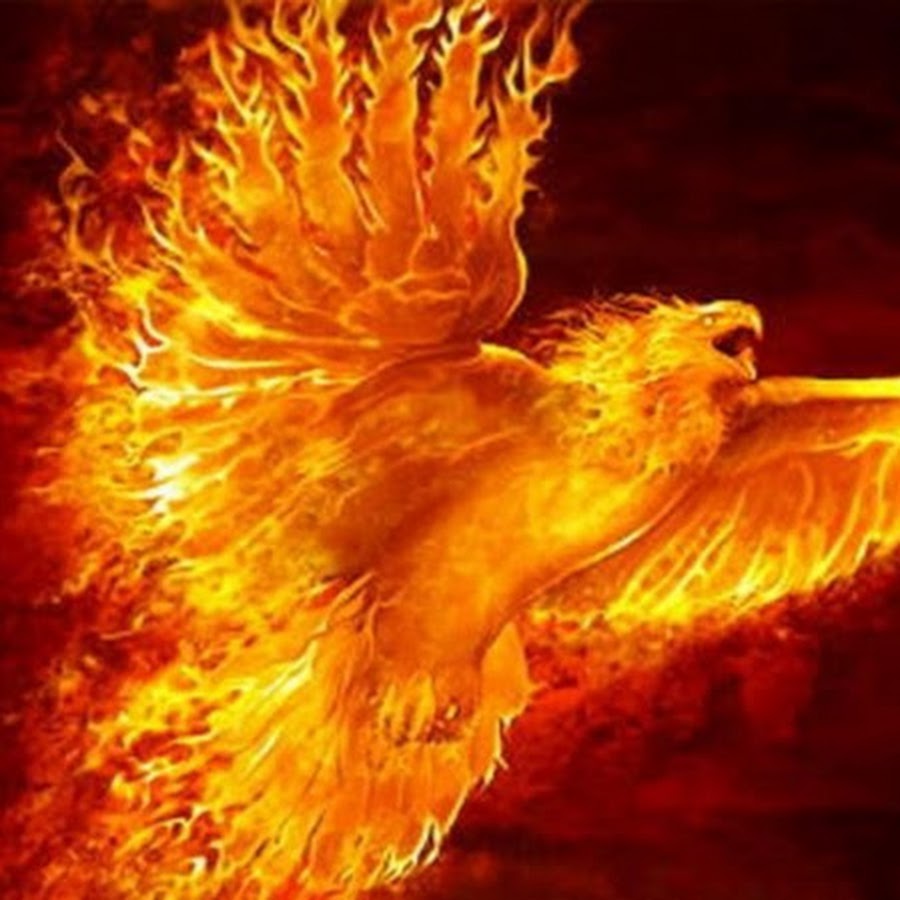 Neon Phoenix - YouTube