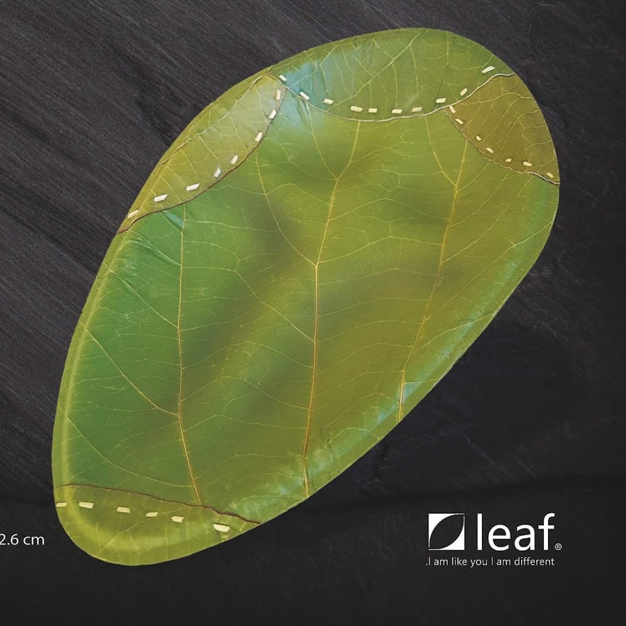 leaf republic - YouTube