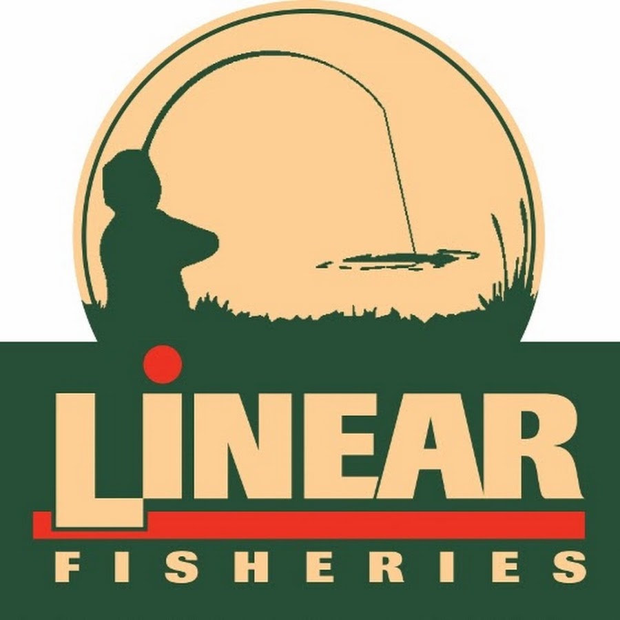 Linear Fisheries Official - YouTube