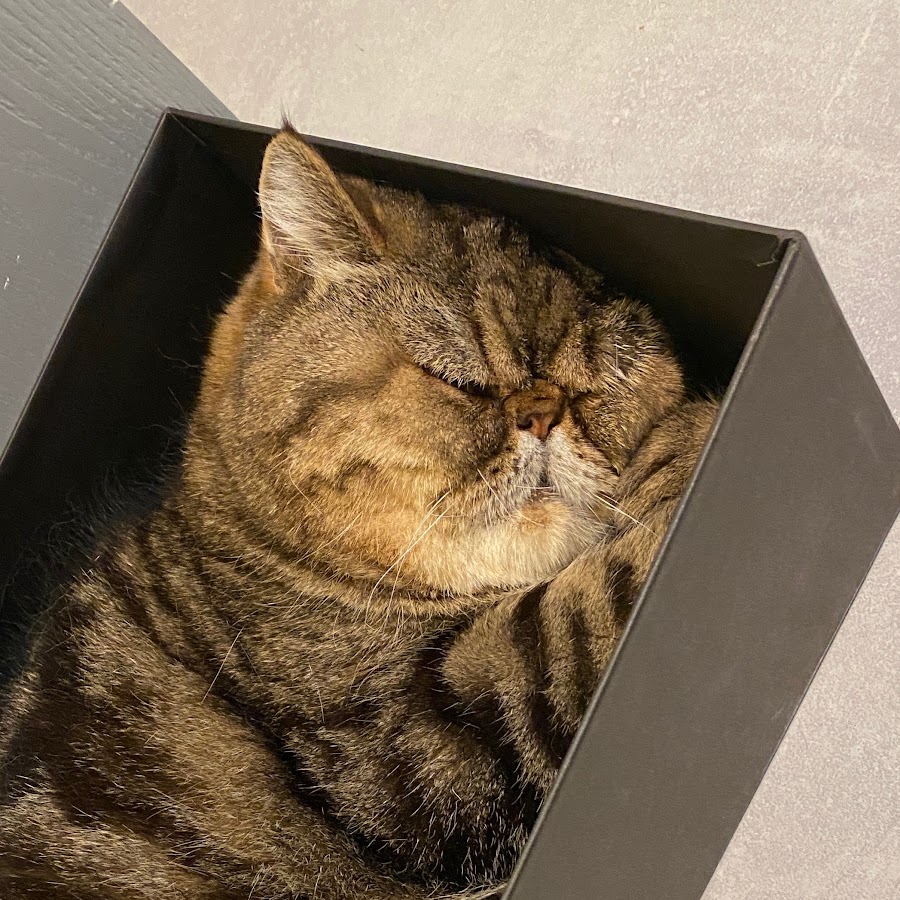 Clara Chan - YouTube