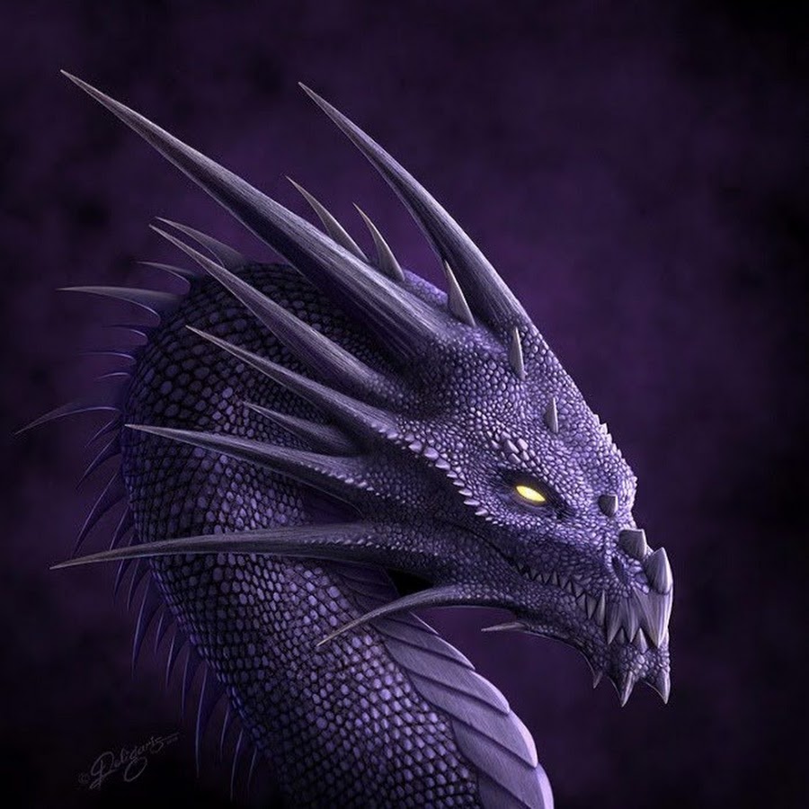 Violet Dragon - YouTube