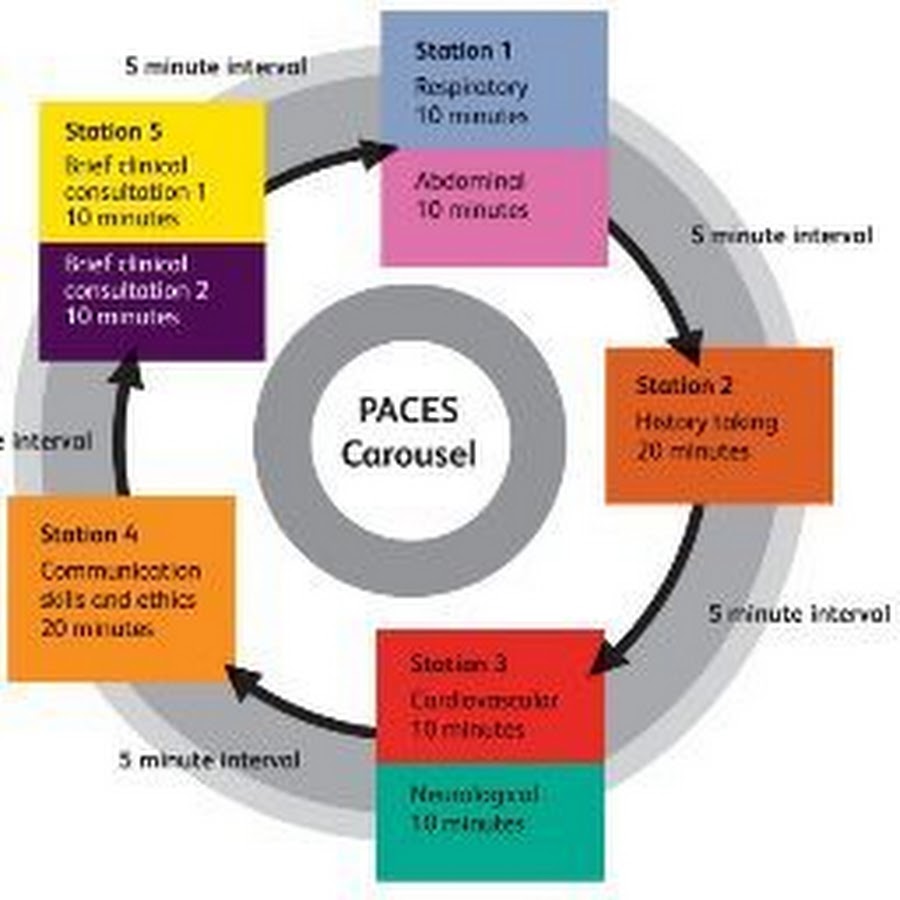 PACES n PACES - YouTube