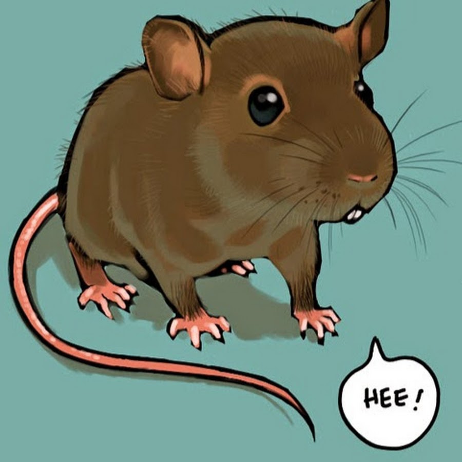 Deadly Mouse - YouTube