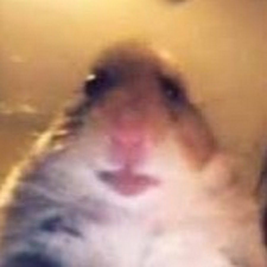 lolz playz - YouTube