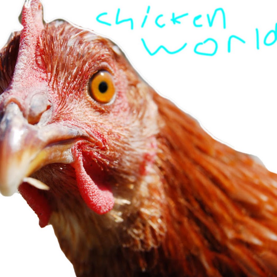 Chicken World - YouTube
