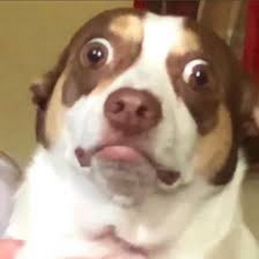 Mr Bubbz - YouTube