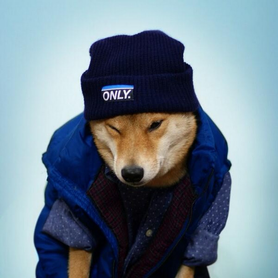 thug-life-dog-youtube