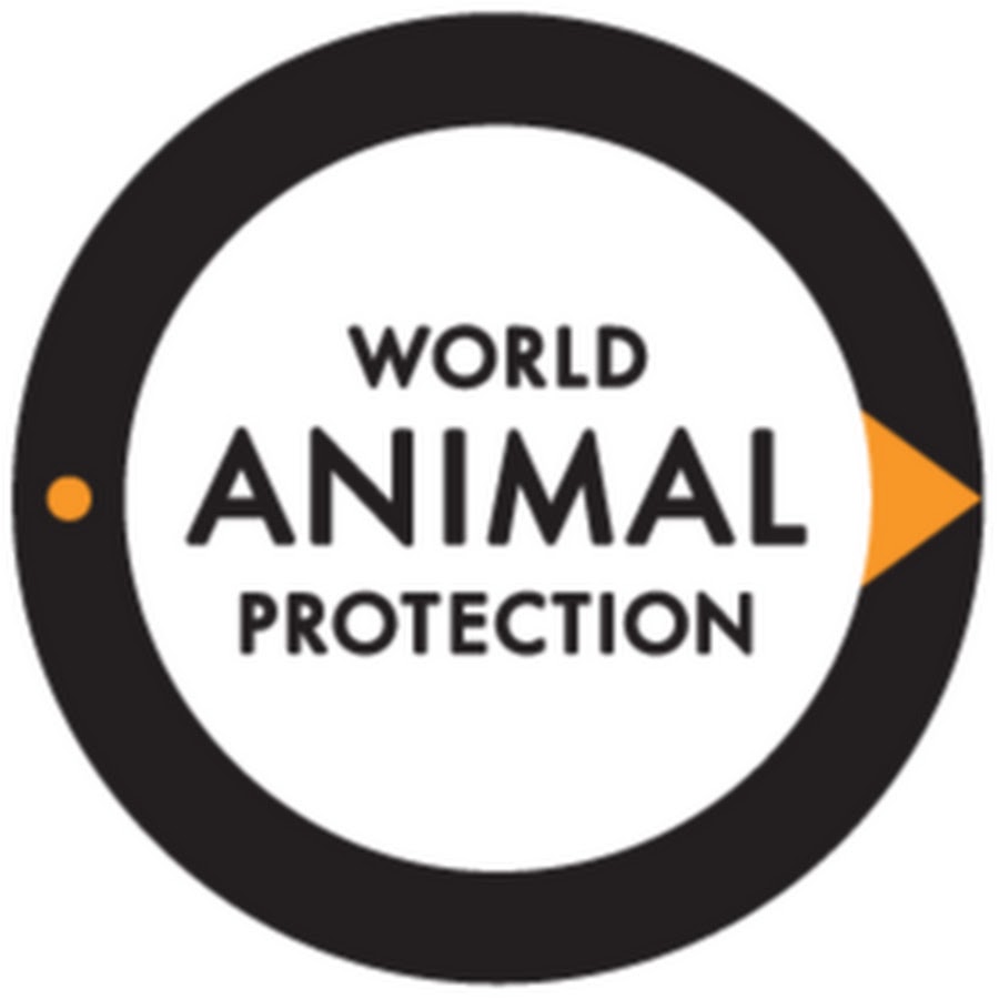 World Animal Protection Danmark - YouTube