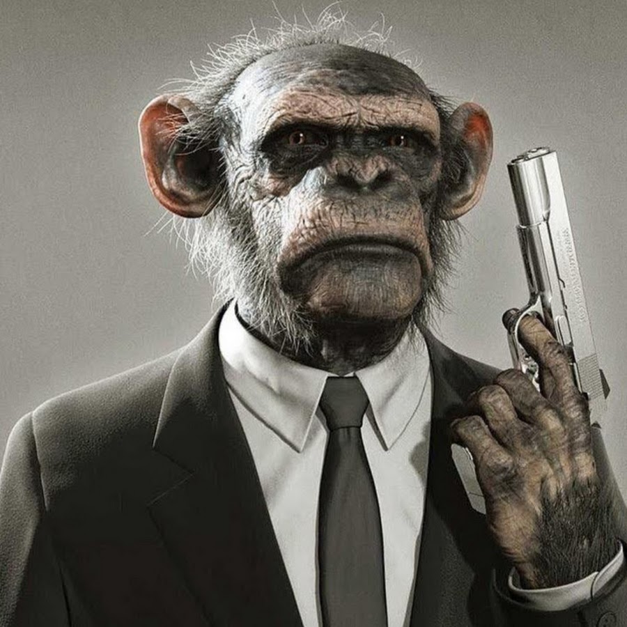 Monkey_Assassin - YouTube