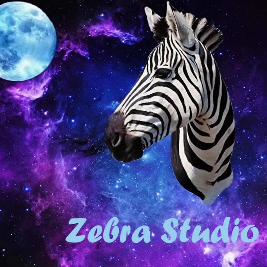 Zebra Studio - YouTube
