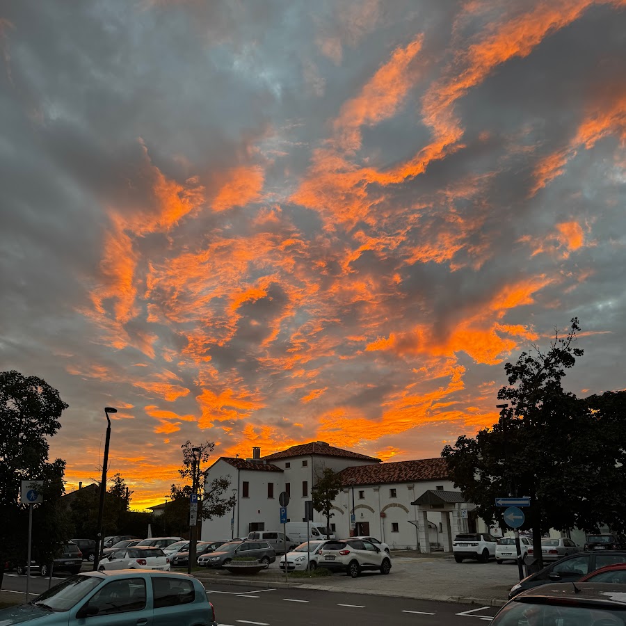 Sparky Official - YouTube