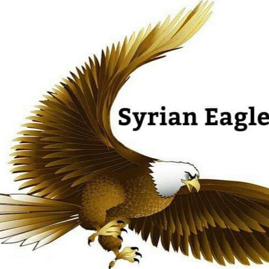 النسر السوري _ Syrian Eagle - YouTube