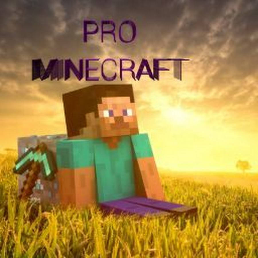 pro minecraft - YouTube