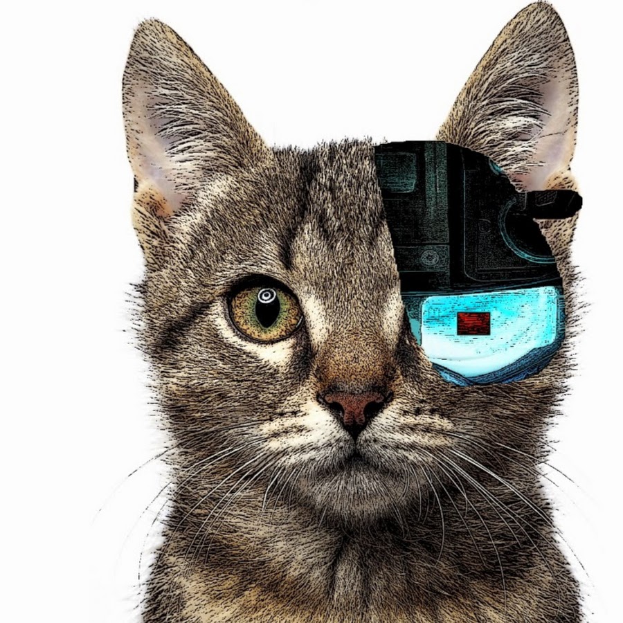 Cyber Cat - YouTube